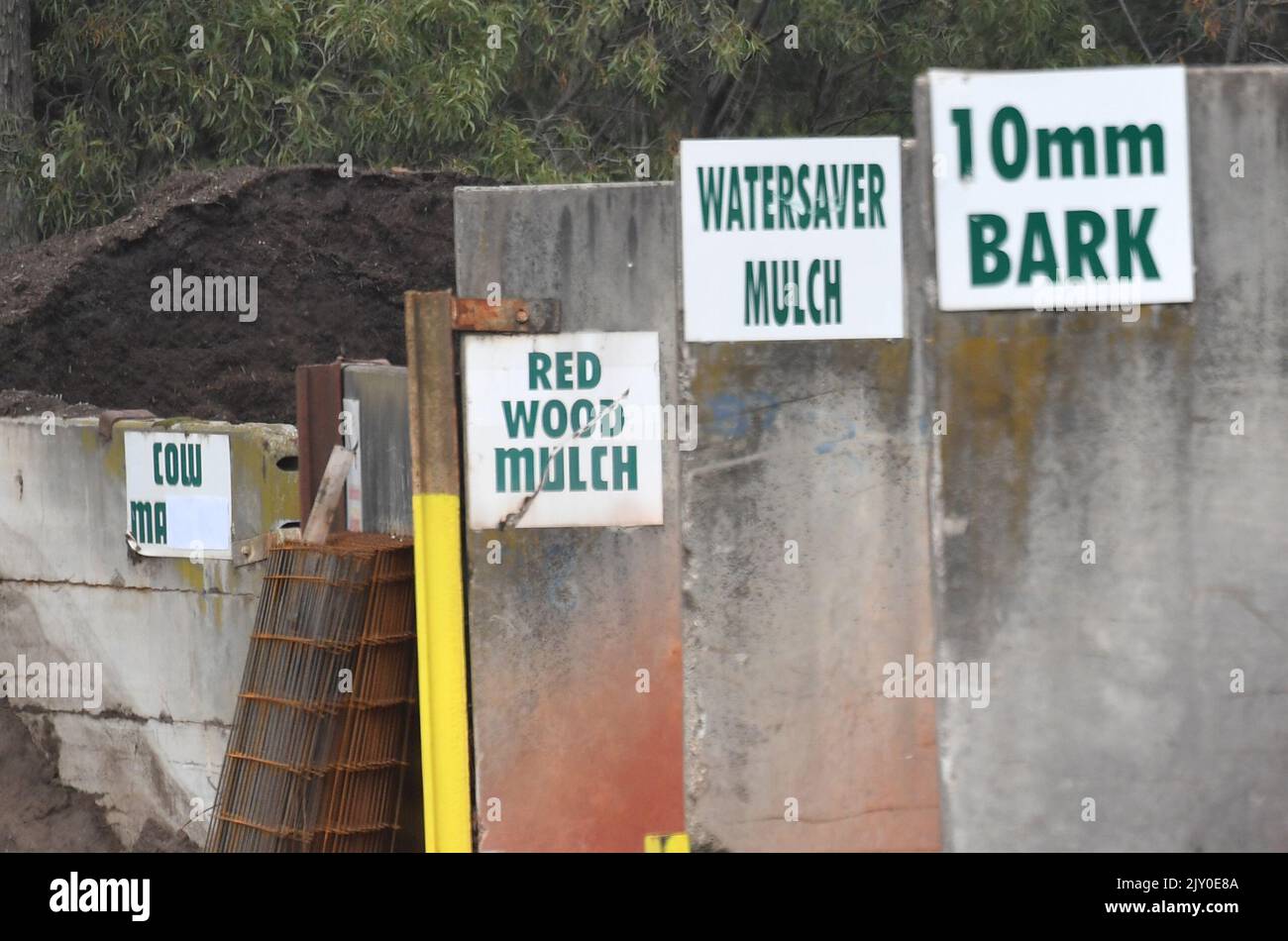 Prime Minister's Office advancers cover up the cow manure sign (L ...