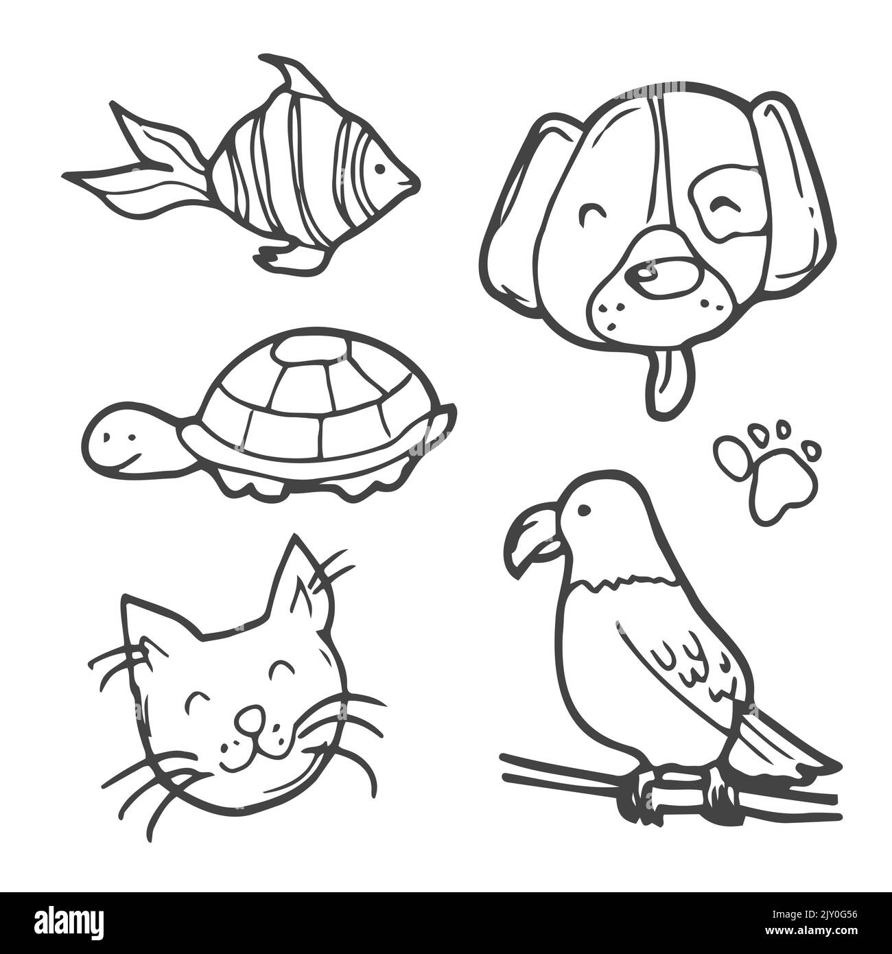 Different pets in various poses. Hand drawn big vector set of various ...