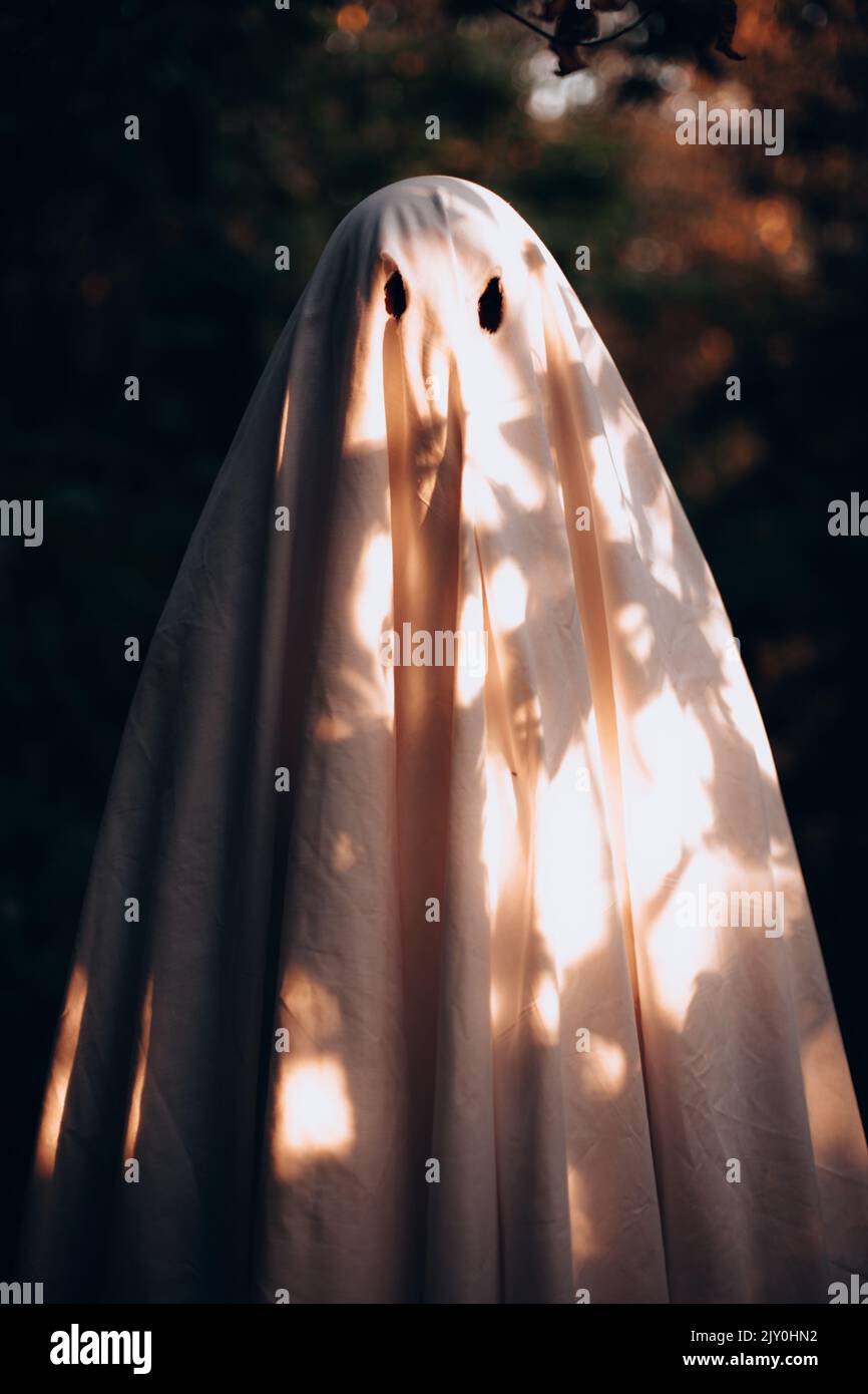 Portrait of ghost in forest during Halloween Stock Photo - Alamy