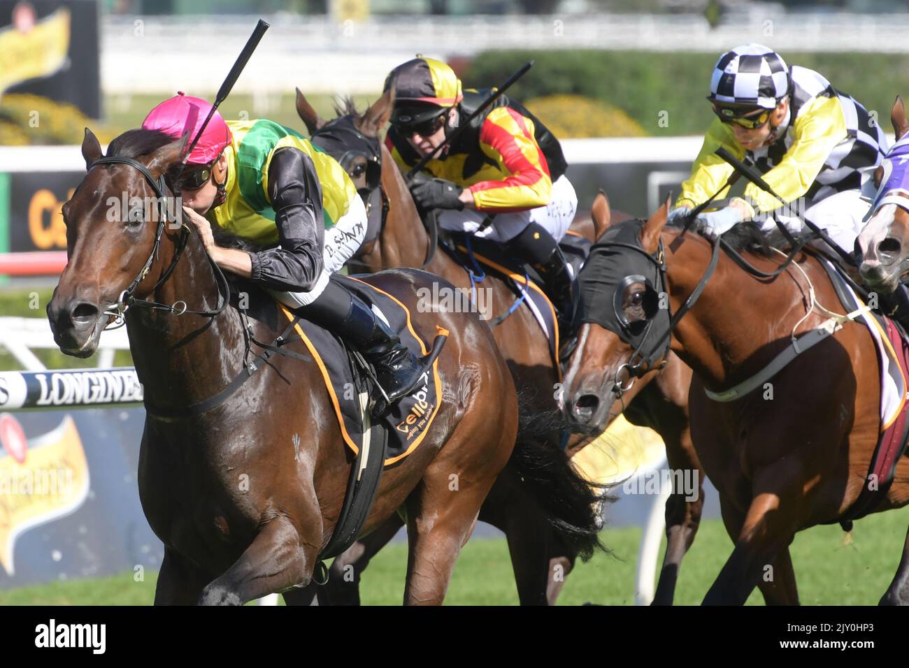 Jockey Blake Shinn rides The Chosen One to victory in race 3, the ...