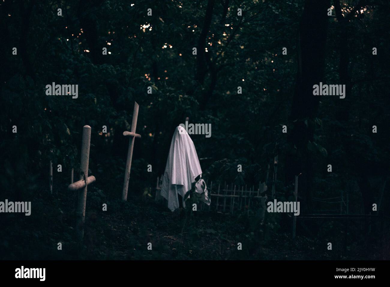 Scary mystery cemetery hi-res stock photography and images - Alamy