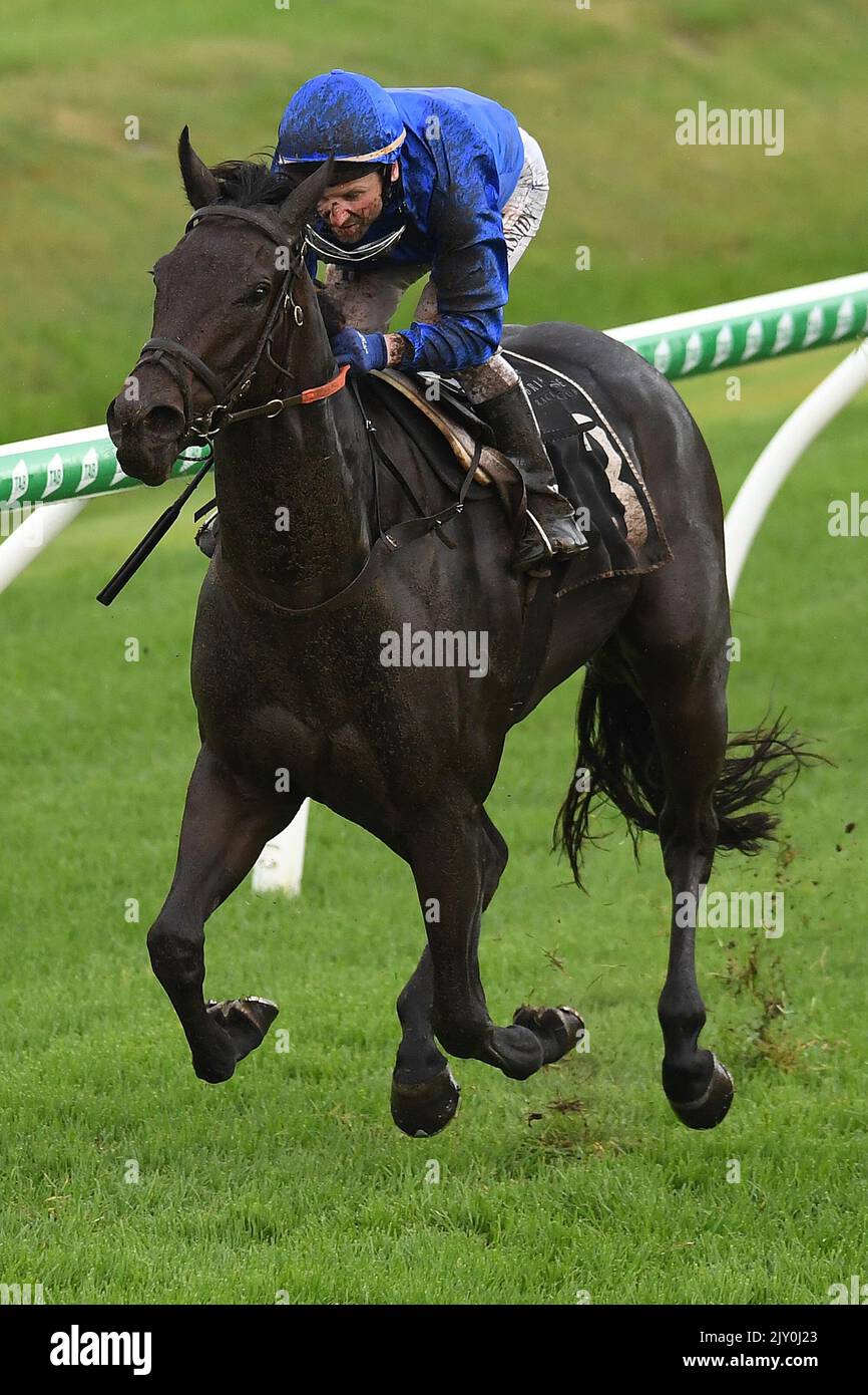 Larry Cassidy rides Plague Stone to victory in race 7, the Mick Dittman ...