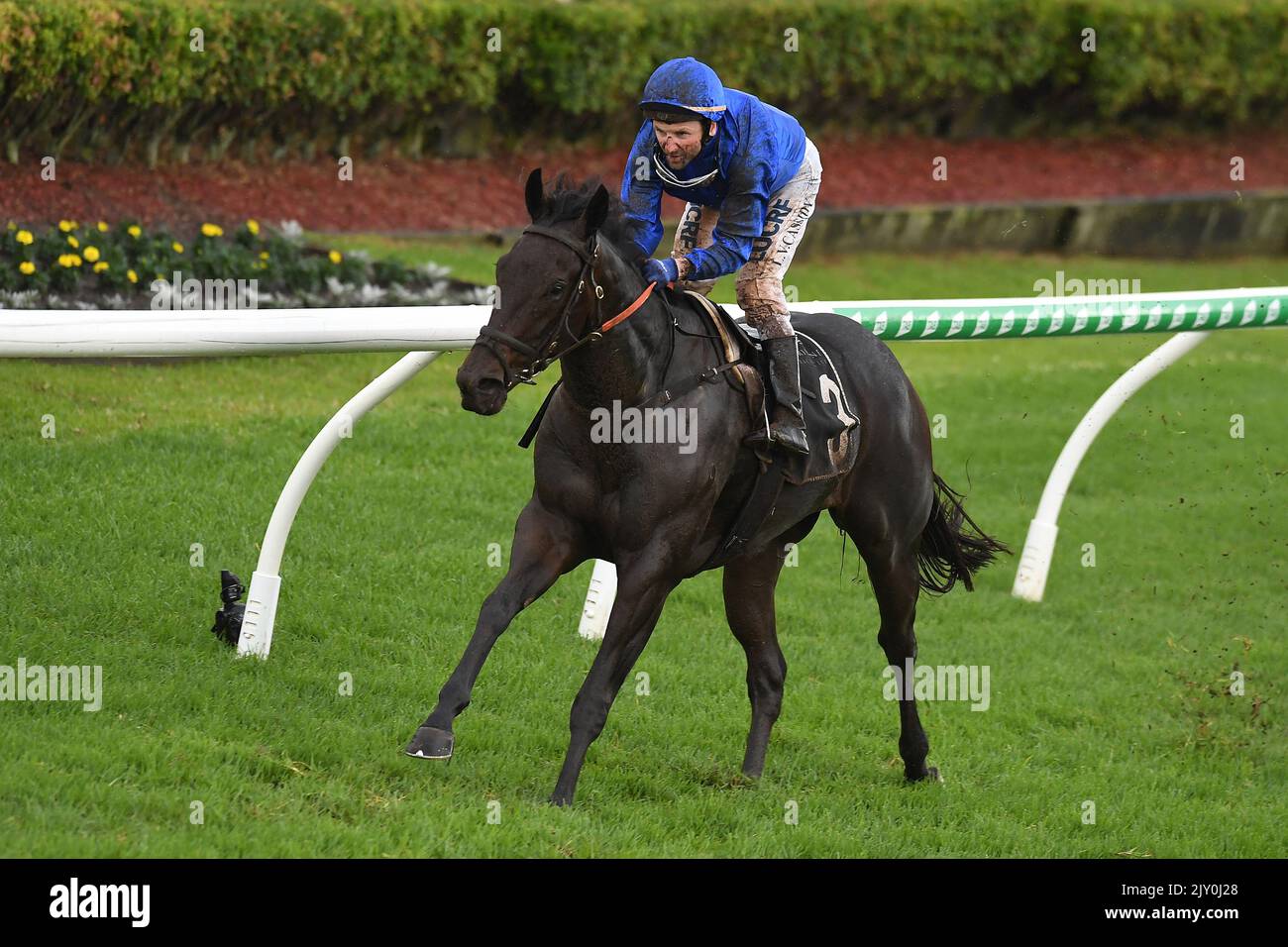 Larry Cassidy rides Plague Stone to victory in race 7, the Mick Dittman ...