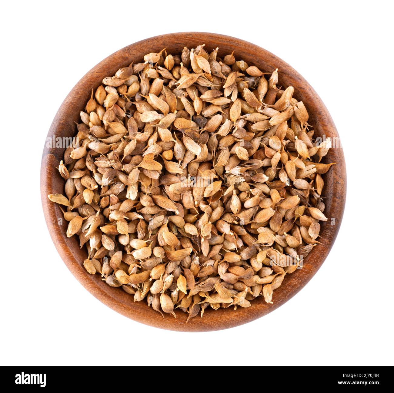 Utsho suneli seeds in wooden bowl, isolated on white background ...
