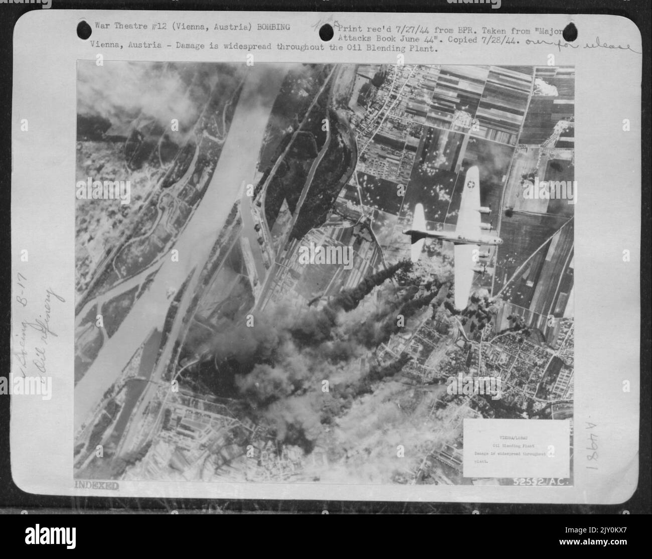 Widespread plant Black and White Stock Photos & Images - Alamy