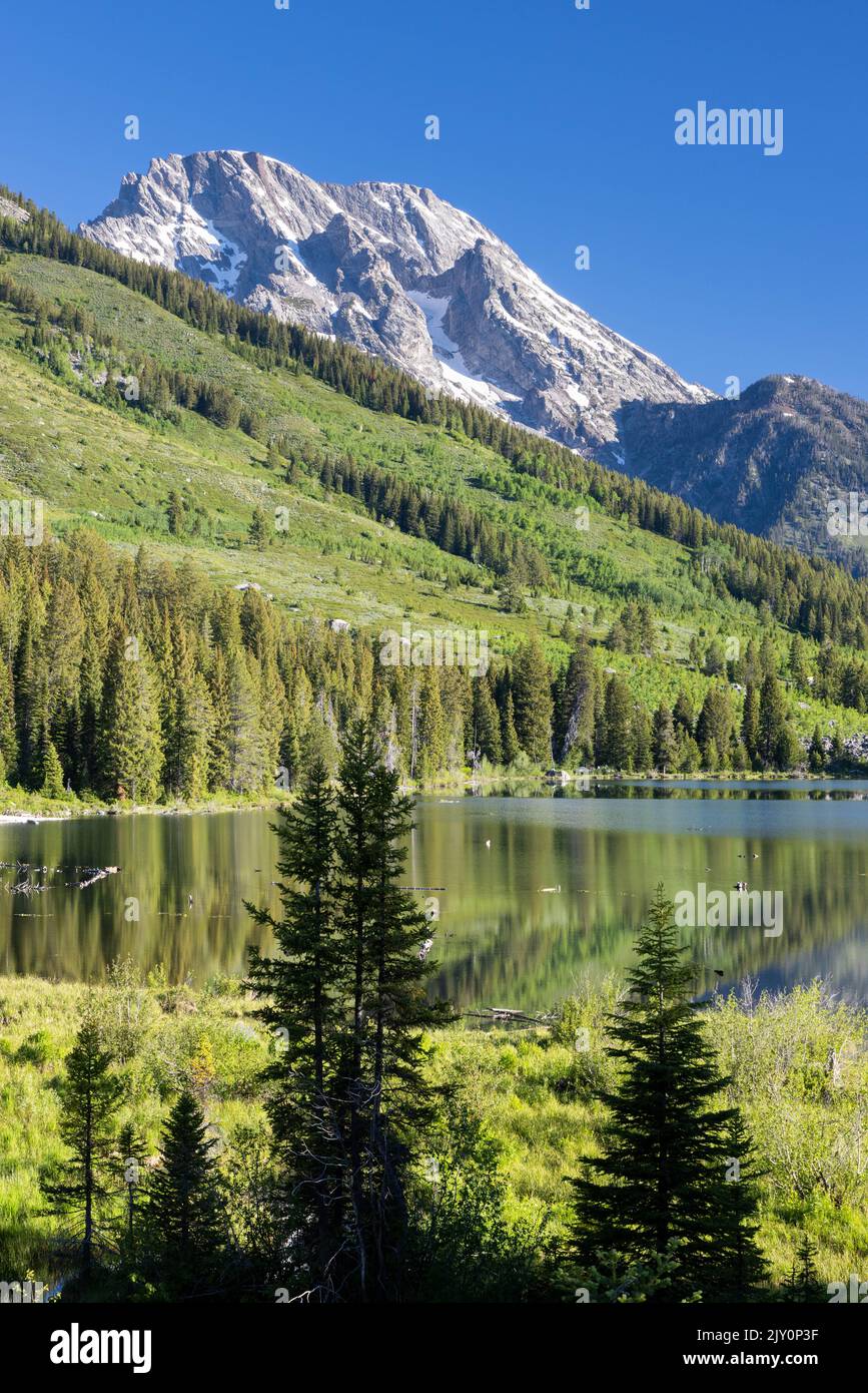The calm waters of String Lake reflecting forests on the lower Teton ...