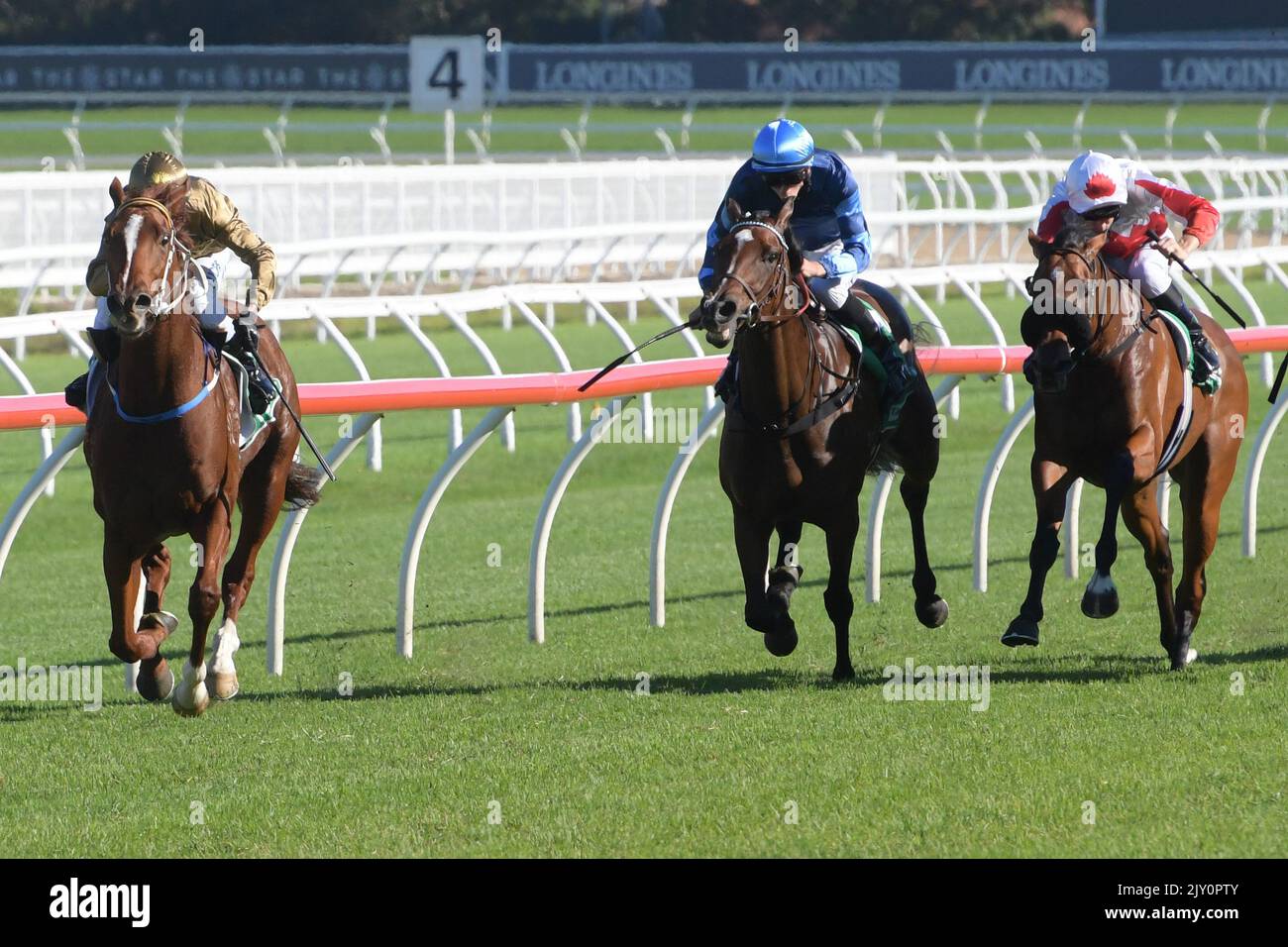Jockey Billy Owen rides Maddison Avenue to victory in race 4, the ...