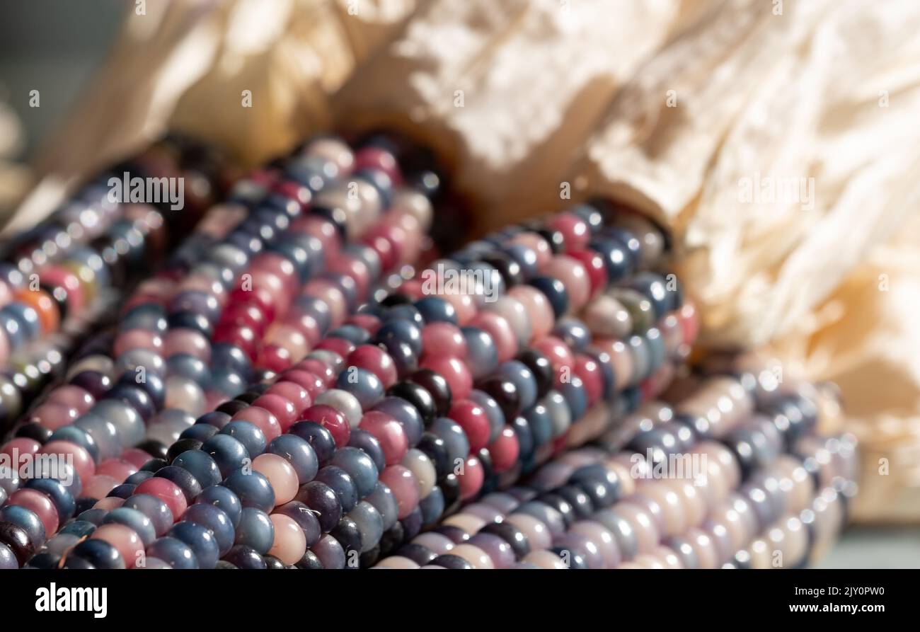 Pop corn fiesta hi-res stock photography and images - Alamy