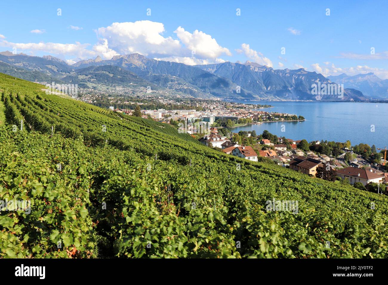 Lavaux vineyards on terraces, UNESCO World Heritage Site, Lake Geneva ...