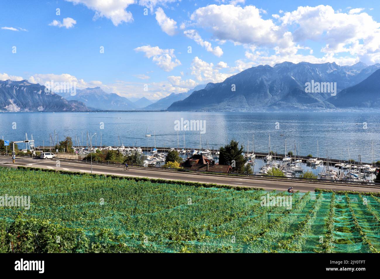 Lavaux vineyards on terraces, UNESCO World Heritage Site, Lake Geneva ...