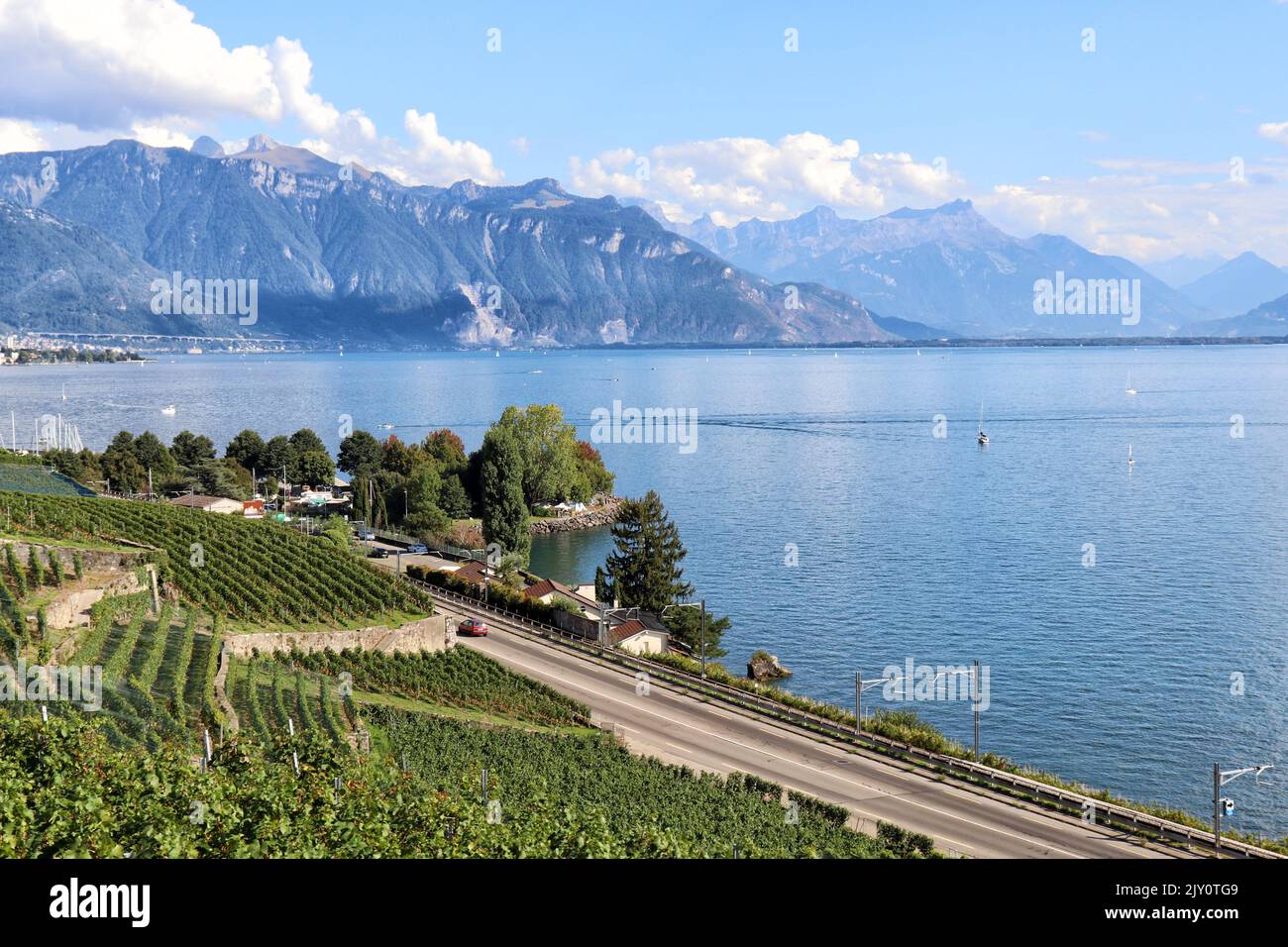 Lavaux vineyards on terraces, UNESCO World Heritage Site, Lake Geneva ...