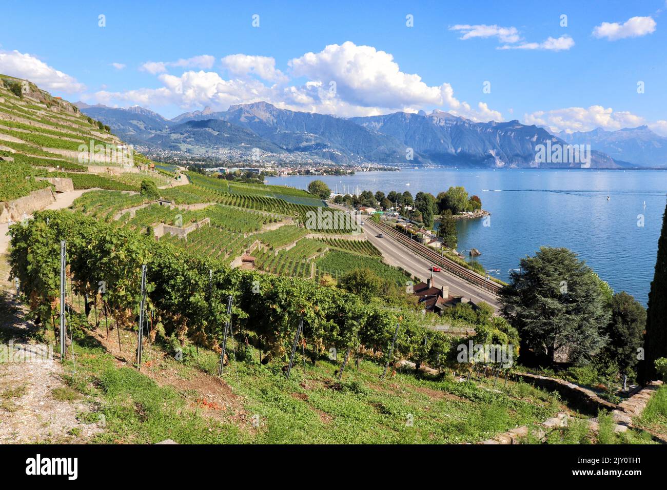 Lavaux vineyards on terraces, UNESCO World Heritage Site, Lake Geneva ...