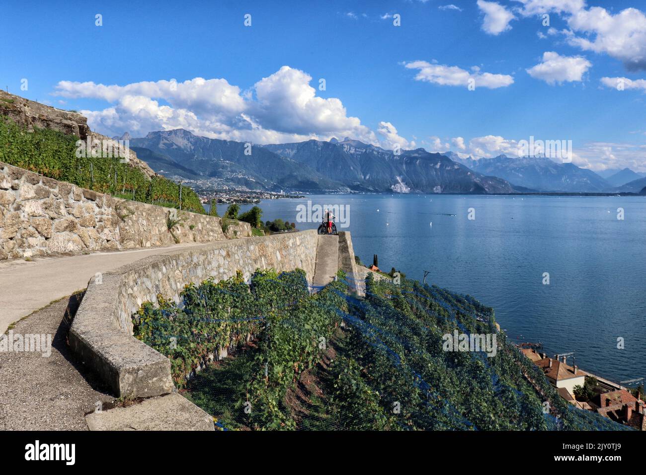 Lavaux vineyards on terraces, UNESCO World Heritage Site, Lake Geneva ...