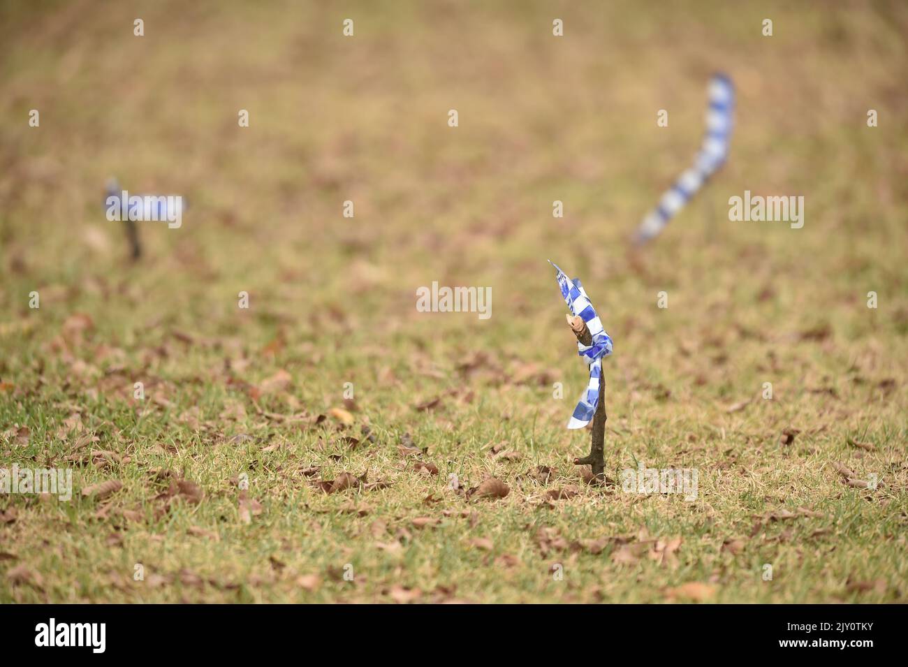 Evidence markers placed by SES are seen at a crime scene in Fawkner ...