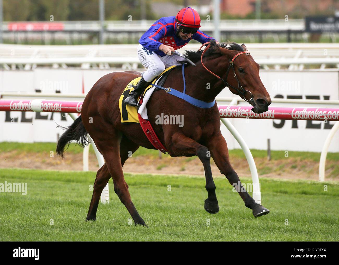 Jockey Anthony Darmanin rides Twitchy Frank to victory in race 3, the ...