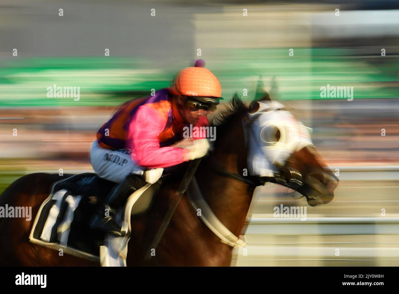 Mark Du Plessis rides Chapter and Verse to victory in race 10, the ...