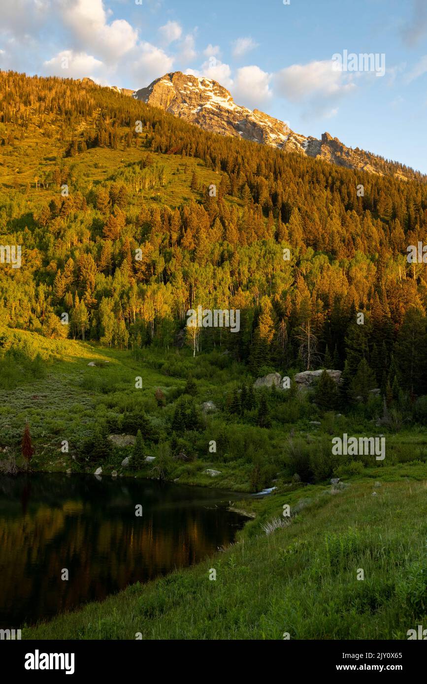 The summit of Mount Moran peeking out over its lower elevations above ...