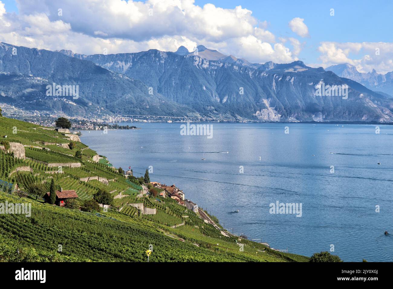 Lavaux vineyards on terraces, UNESCO World Heritage Site, Lake Geneva ...