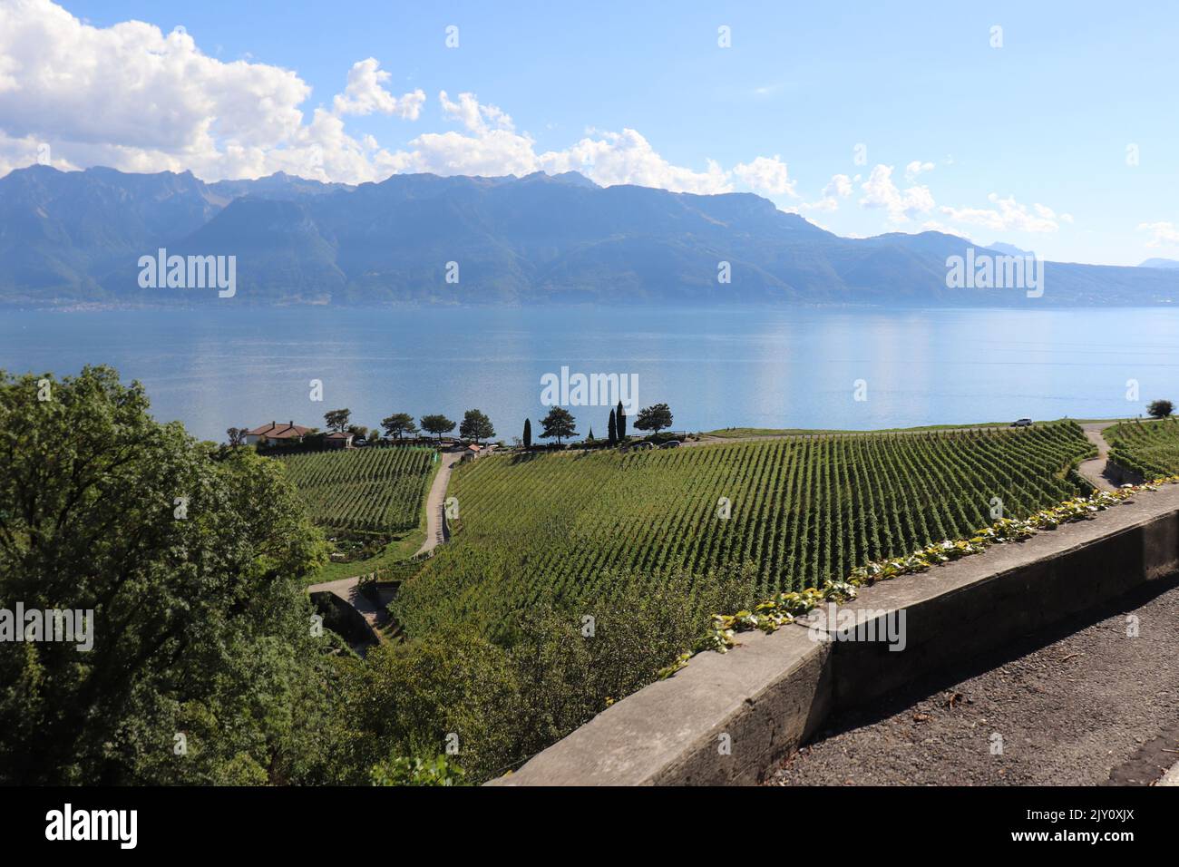 Lavaux vineyards on terraces, UNESCO World Heritage Site, Lake Geneva ...