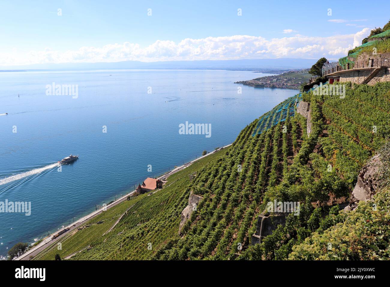 Lavaux vineyards on terraces, UNESCO World Heritage Site, Lake Geneva ...