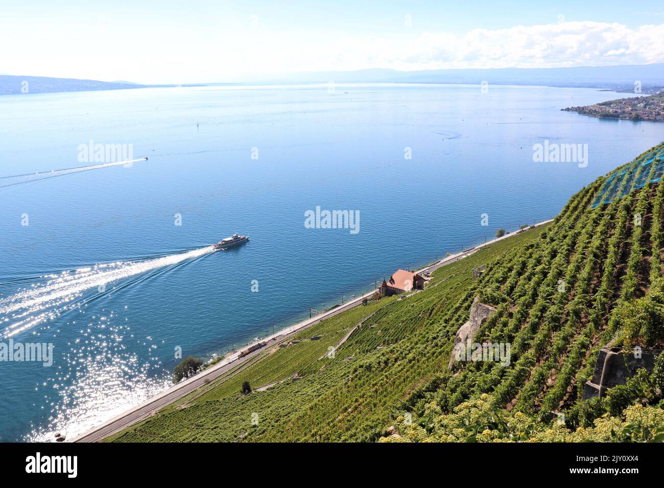 Lavaux vineyards on terraces, UNESCO World Heritage Site, Lake Geneva ...
