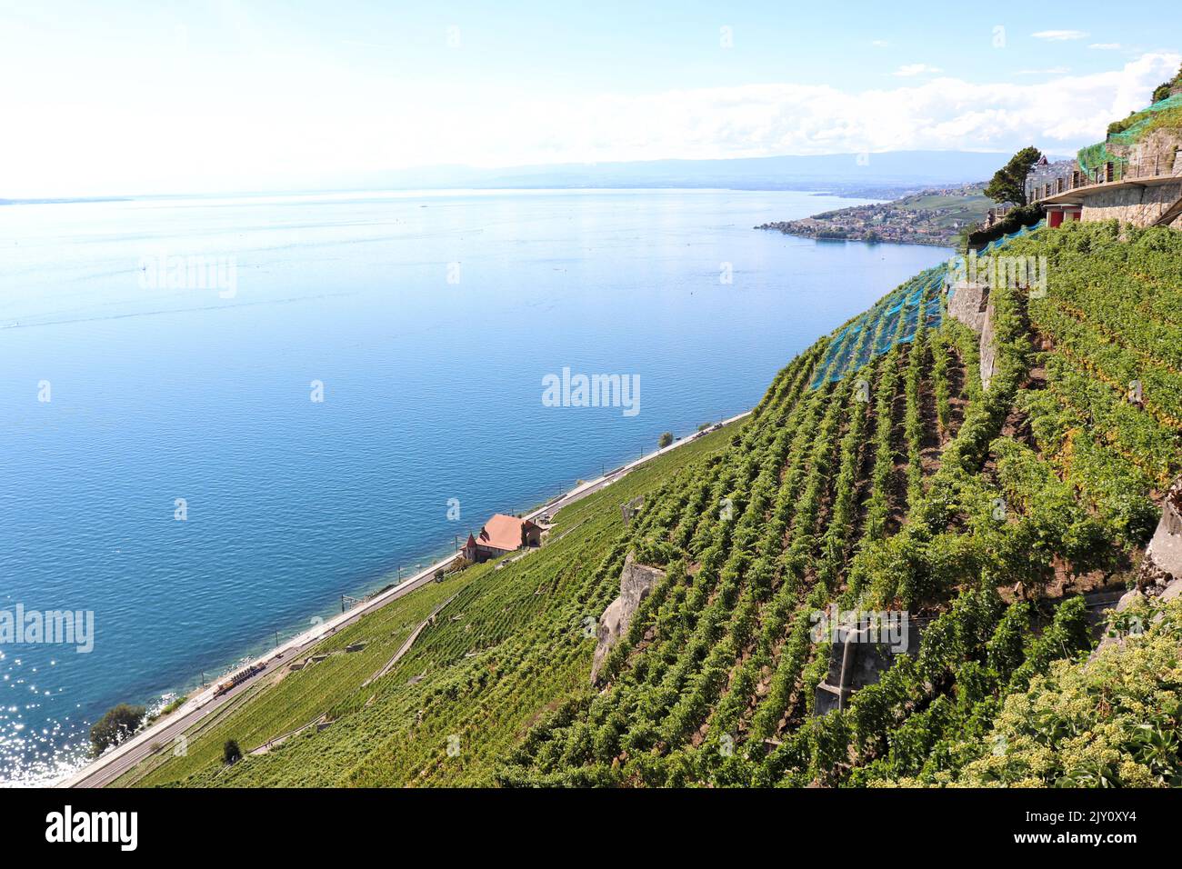 Lavaux vineyards on terraces, UNESCO World Heritage Site, Lake Geneva ...