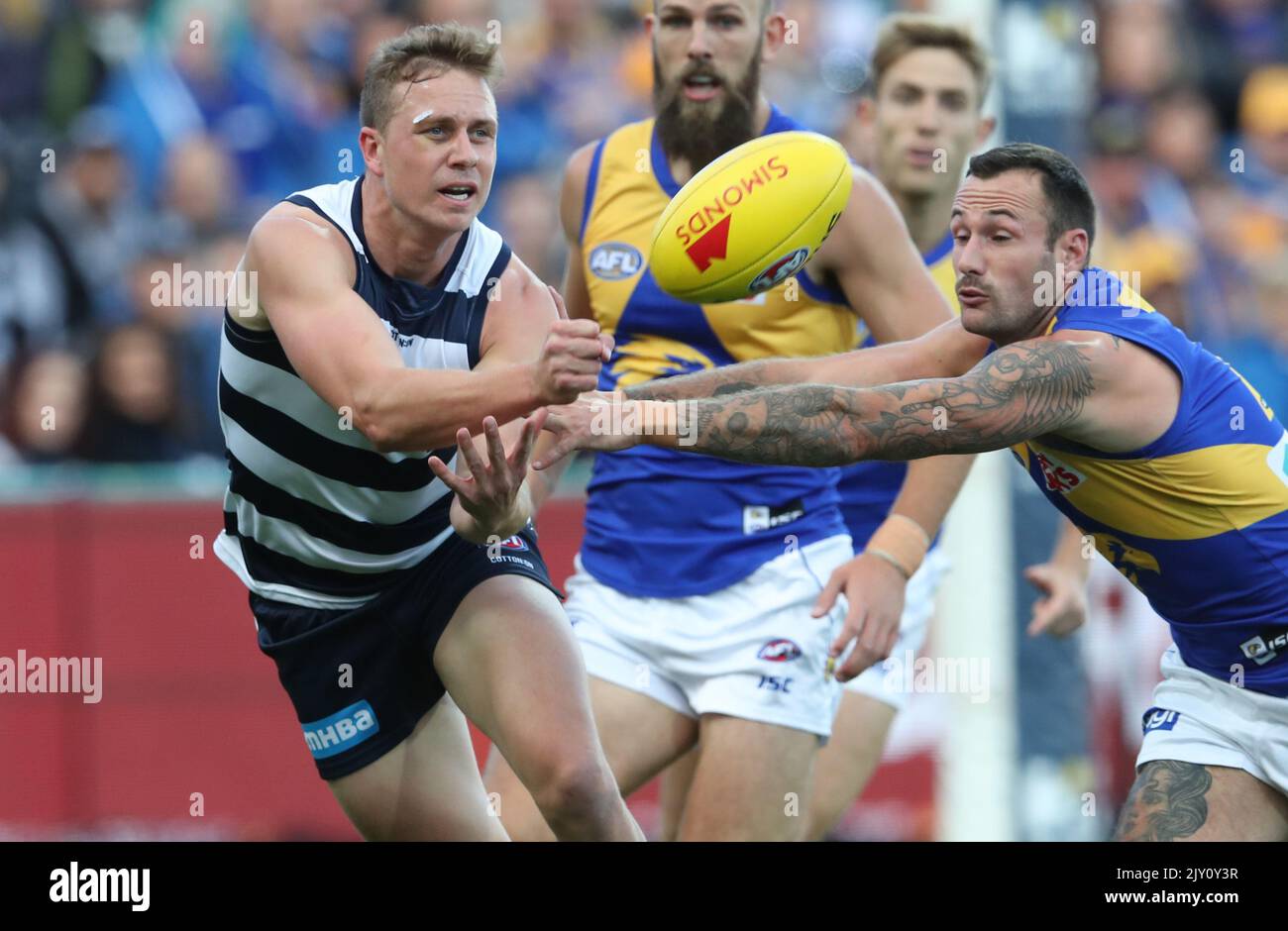 Mitch Duncan of the Cats in action during the Round 6 AFL match between ...