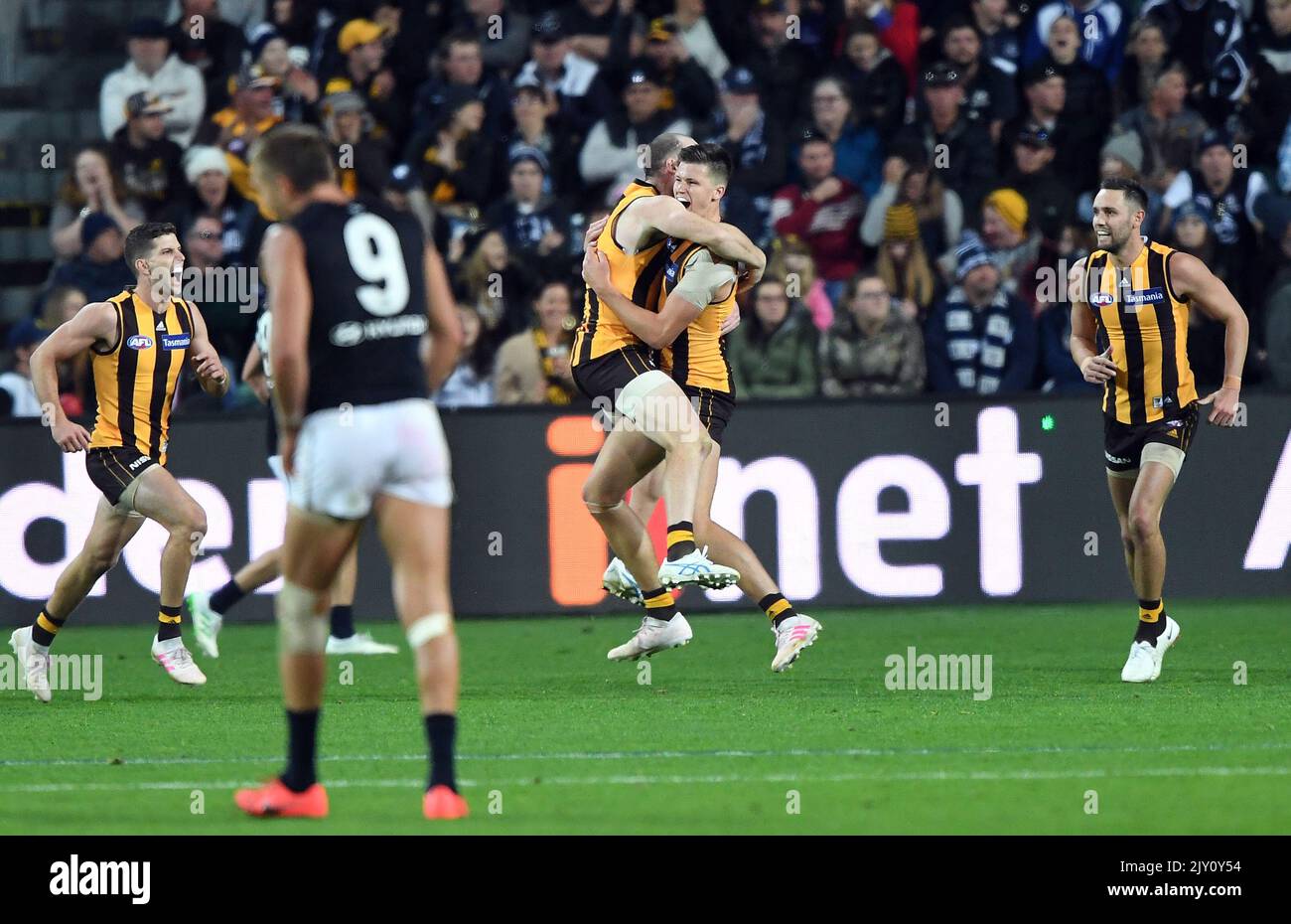 Mitchell Lewis (left) and Jarryd Roughhead of the Hawks react after ...