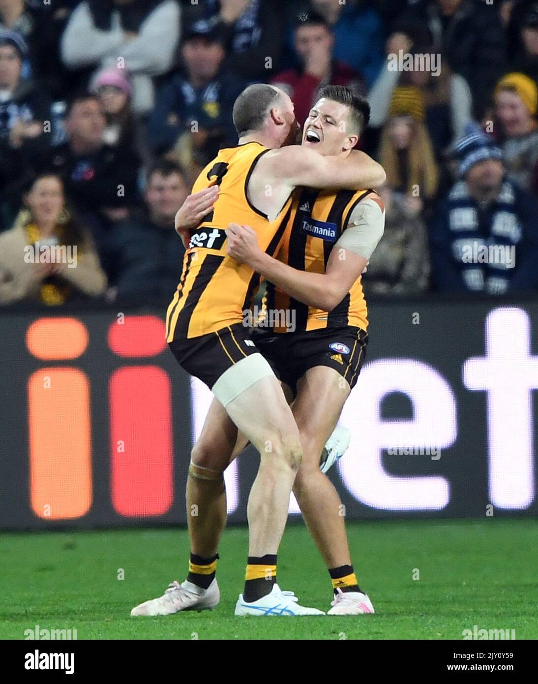 Mitchell Lewis (left) and Jarryd Roughhead of the Hawks react after ...