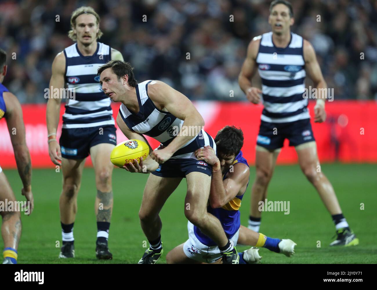 Darcy Fort in action for the Cats during the Round 6 AFL match between ...