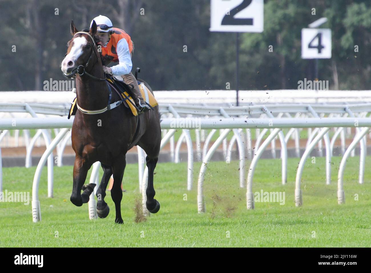 Jockey James Innes Jnr is seen riding Menari in an exhibition gallop at ... Jockey James Innes Jnr is seen riding Menari in an exhibition gallop at ...