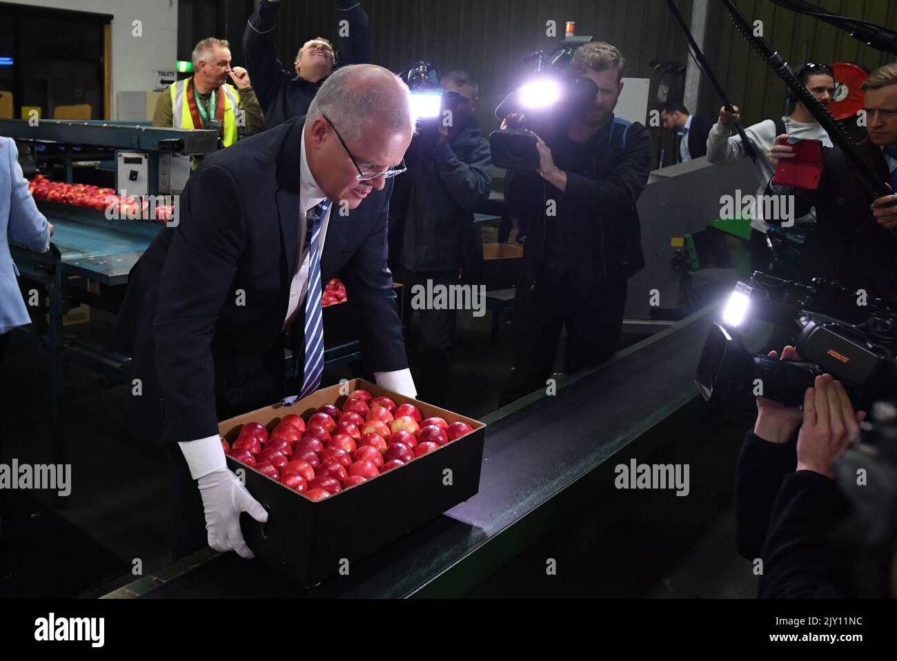 Prime Minister Scott Morrison packs apples at Squibb's Apple Orchard in ...