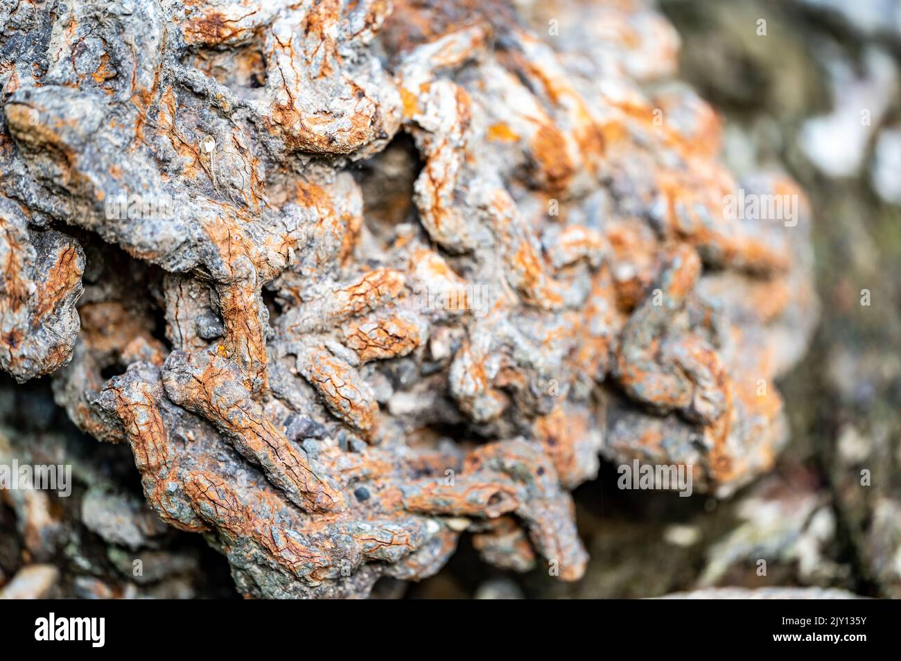 Rusted and corroded chain discarded and buried Stock Photo - Alamy