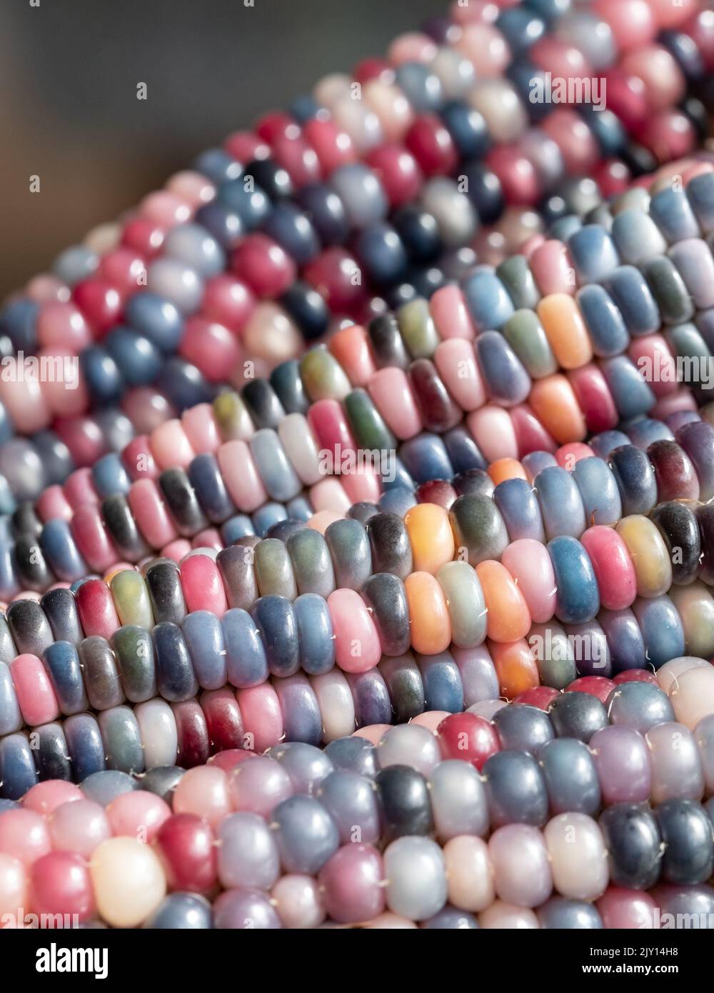 Pop corn fiesta hi-res stock photography and images - Alamy