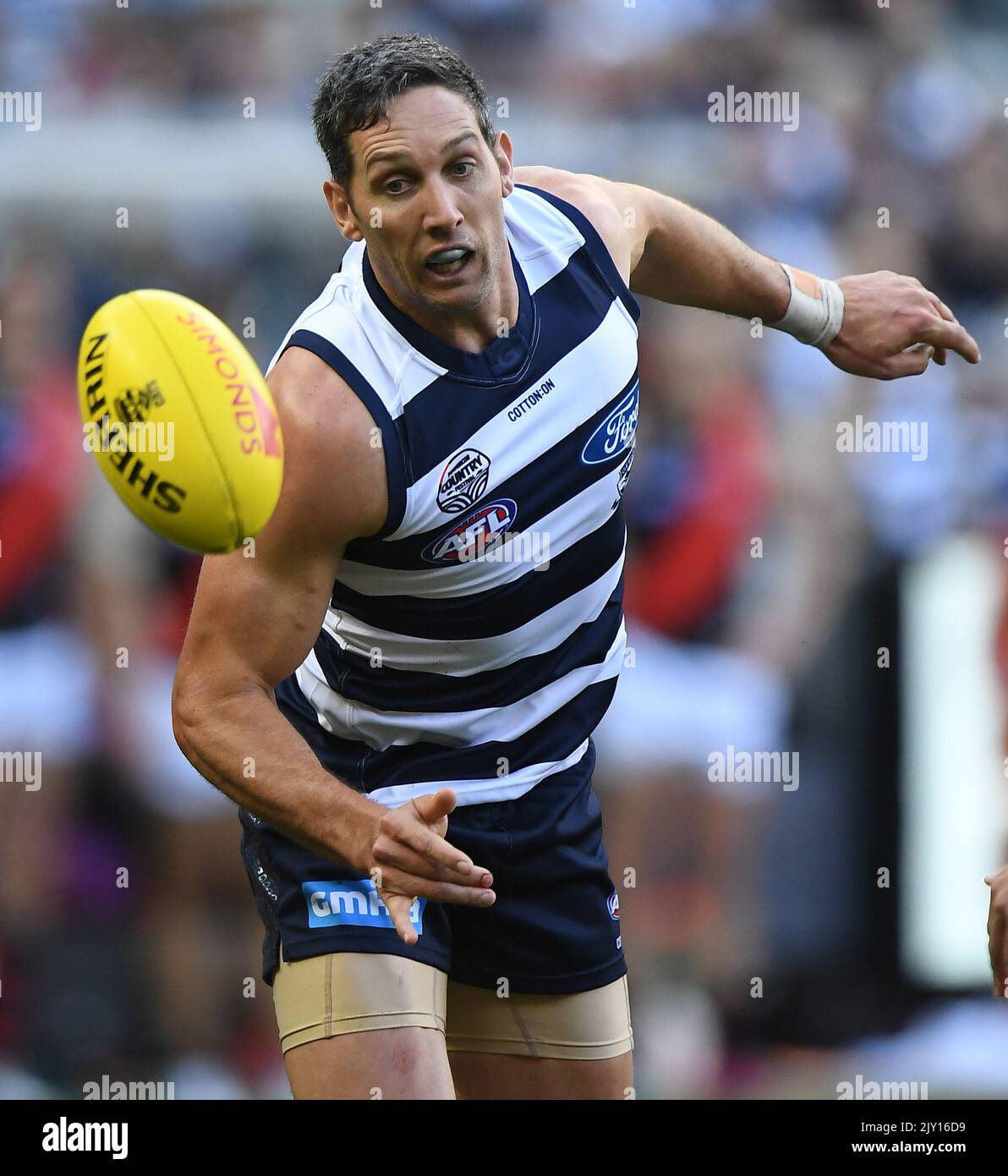 Harry Taylor of the Cats is seen in action during the Round 7 AFL match ...
