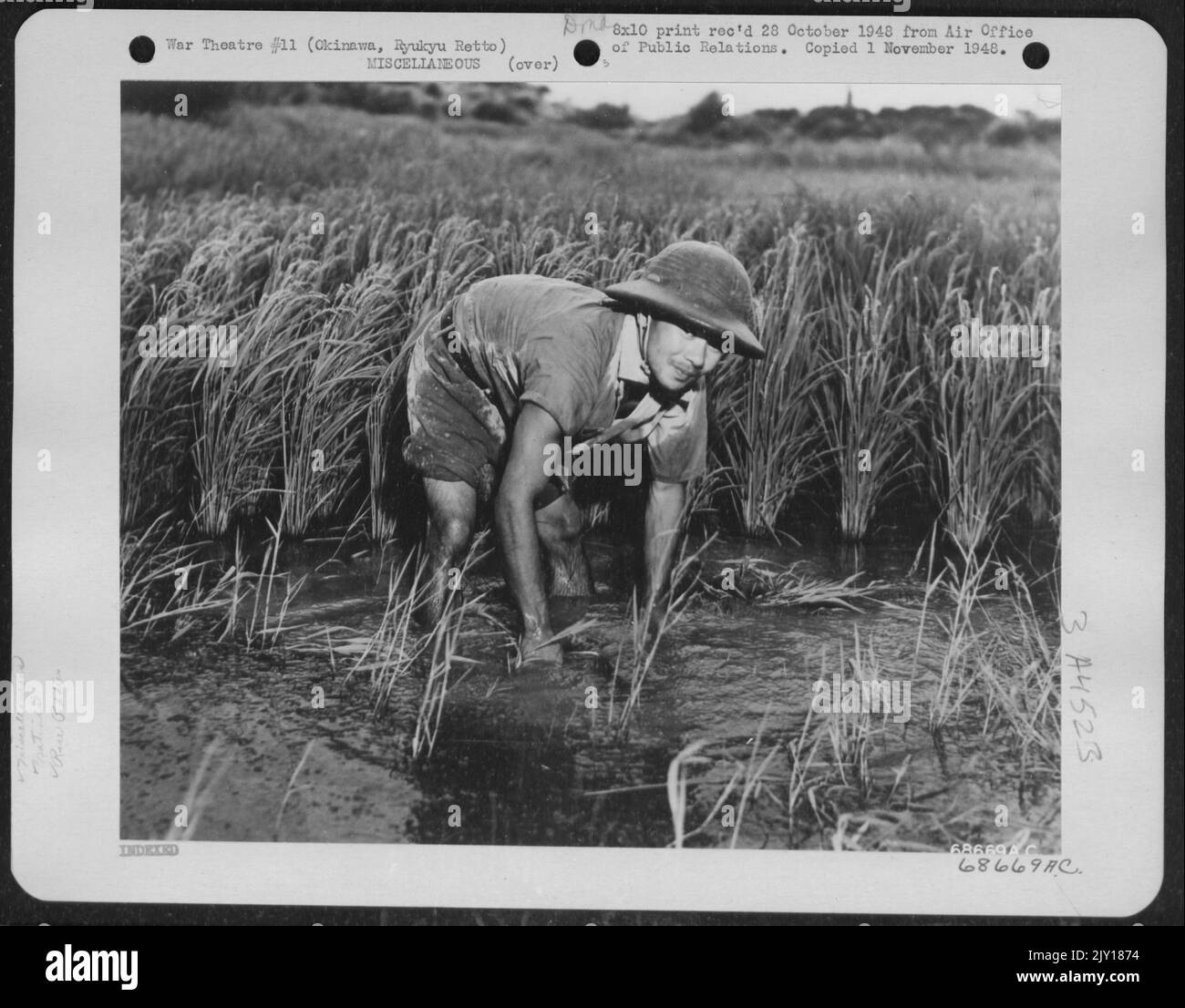 Farmer Plants Rice In Irrigated Soil - The Farmer In His Rice Paddies ...