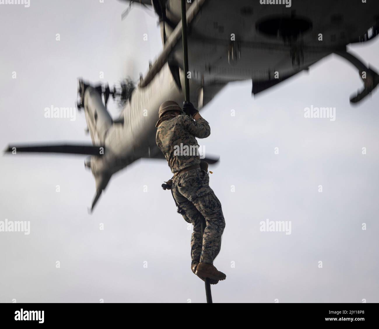 A U.S. Marine with Battalion Landing Team 2/5, 31st Marine ...