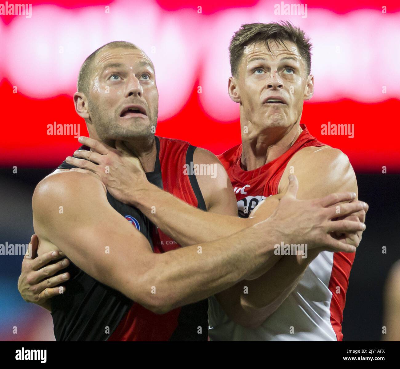 Callum Sinclair of the Swans and Tom Bellchambers of the Bombers ...