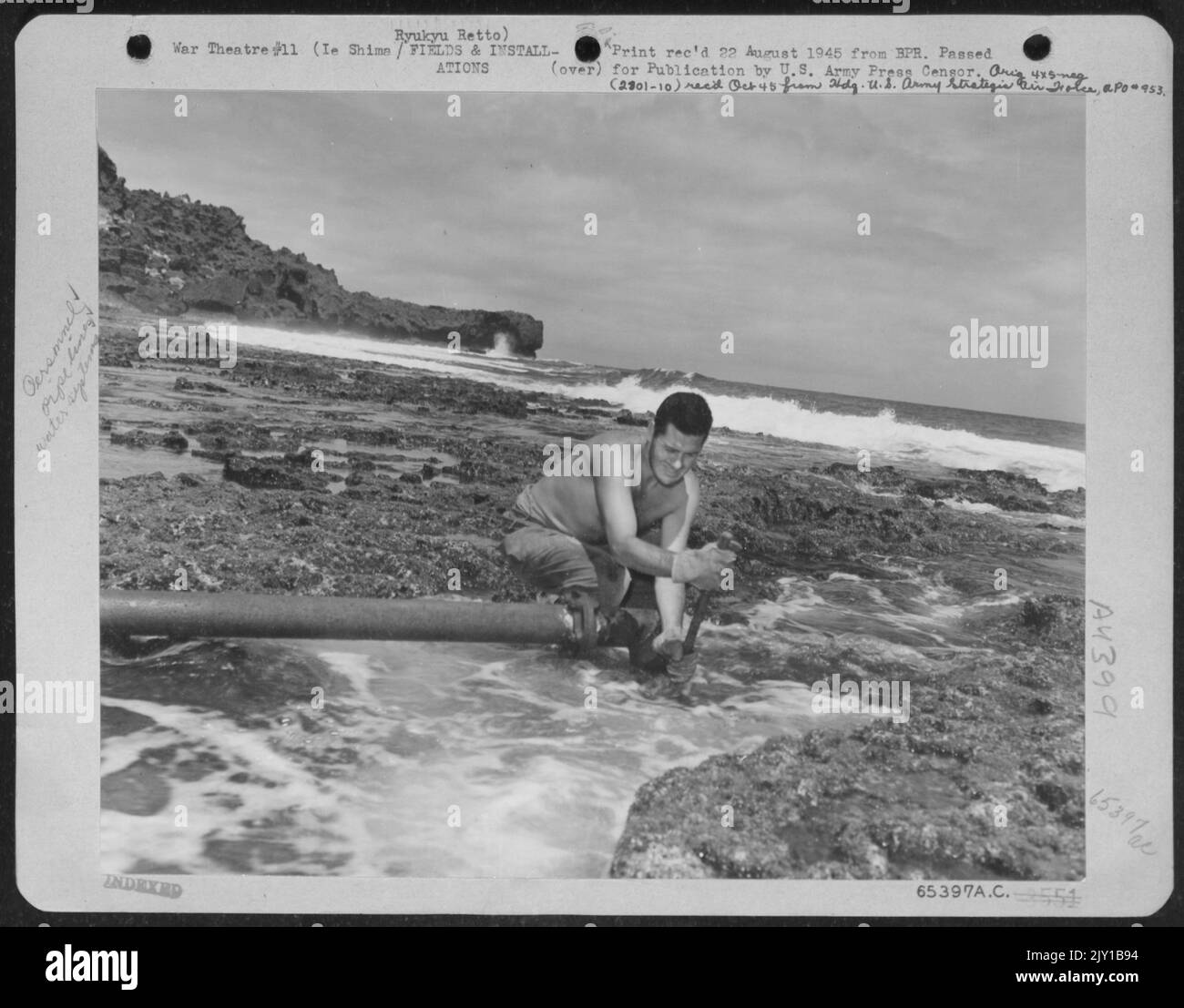 Brock out hi-res stock photography and images - Alamy