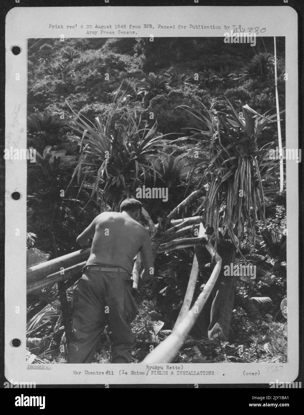 Up Through Pandanus And Giant Ferns Clining To The Rocky Ie Shima Cliff ...
