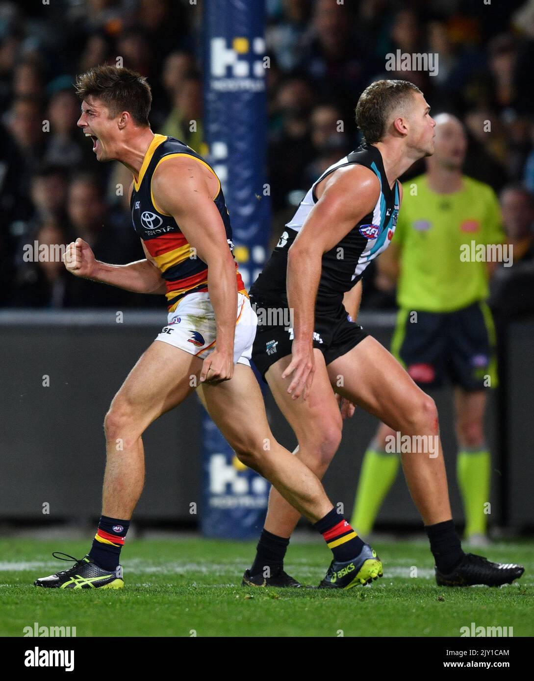 Riley Knight of the Crows reacts after scoring a goal during the Round ...