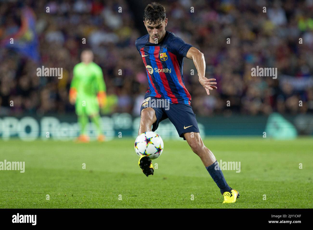 Barcelona, Spain. 07th Sep, 2022. Pedri of FC Barcelona during the UEFA ...