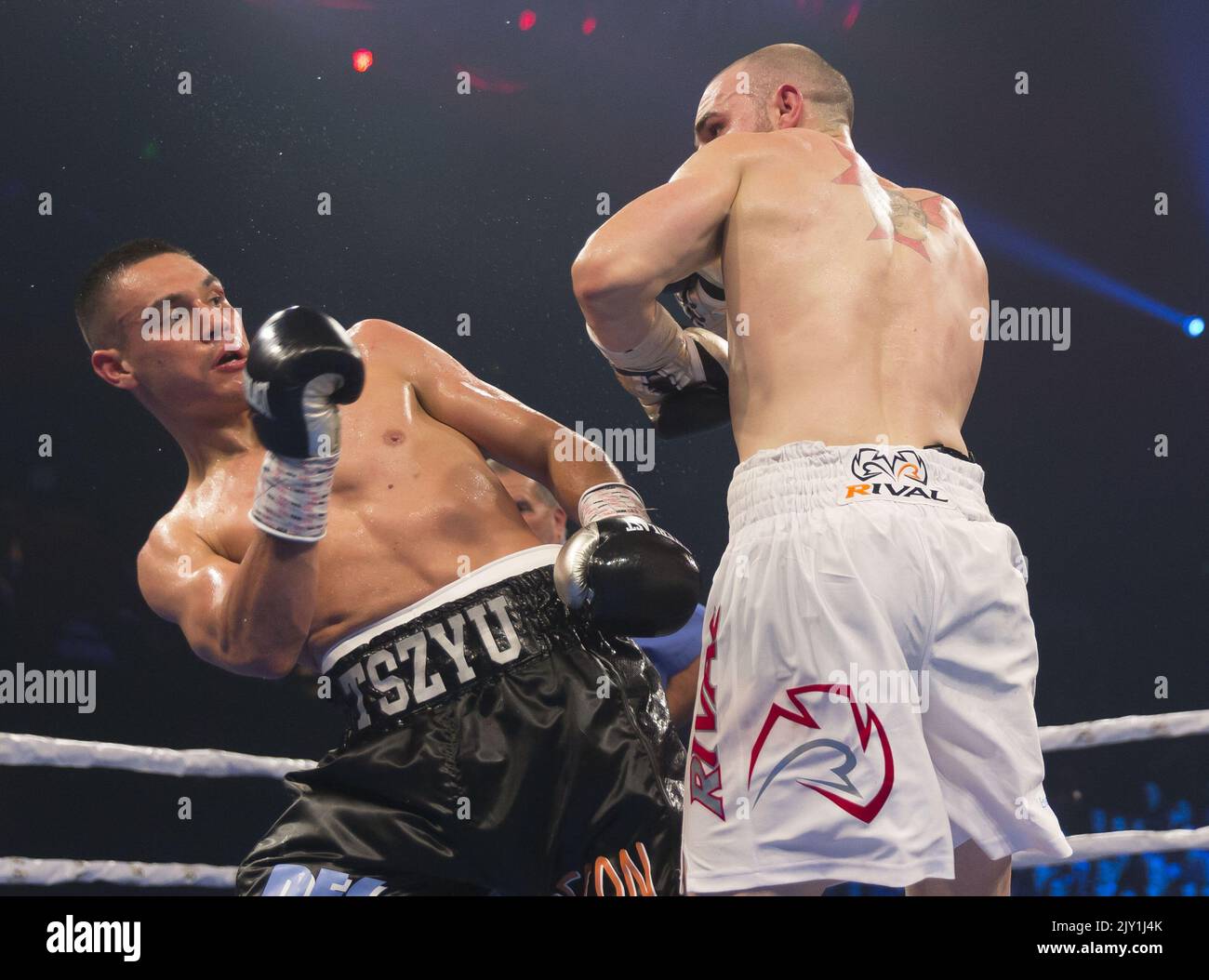 Australian boxers Tim Tszyu (left) and Joel Camilleri during their ...