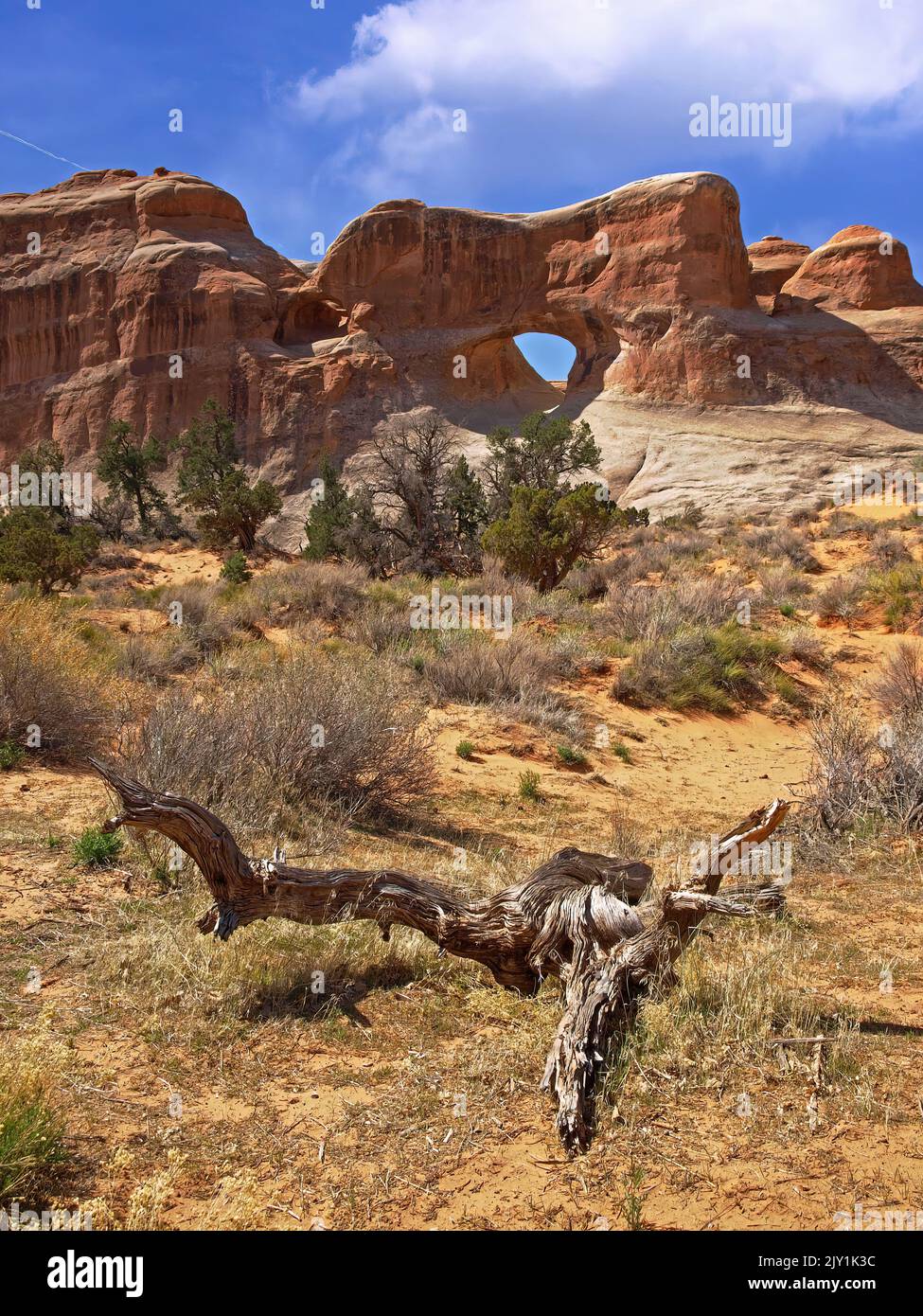 The iconic Monument Valley, Arizona, one of the symbols of the USA and ...