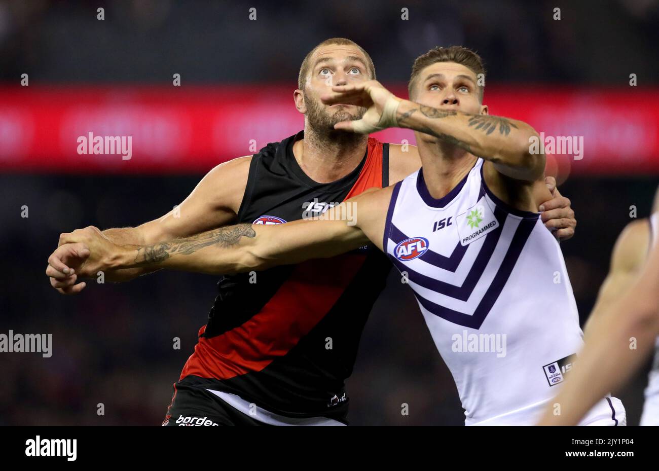 Tom Bellchambers of the Bombers contests a boundary throw with Rory ...