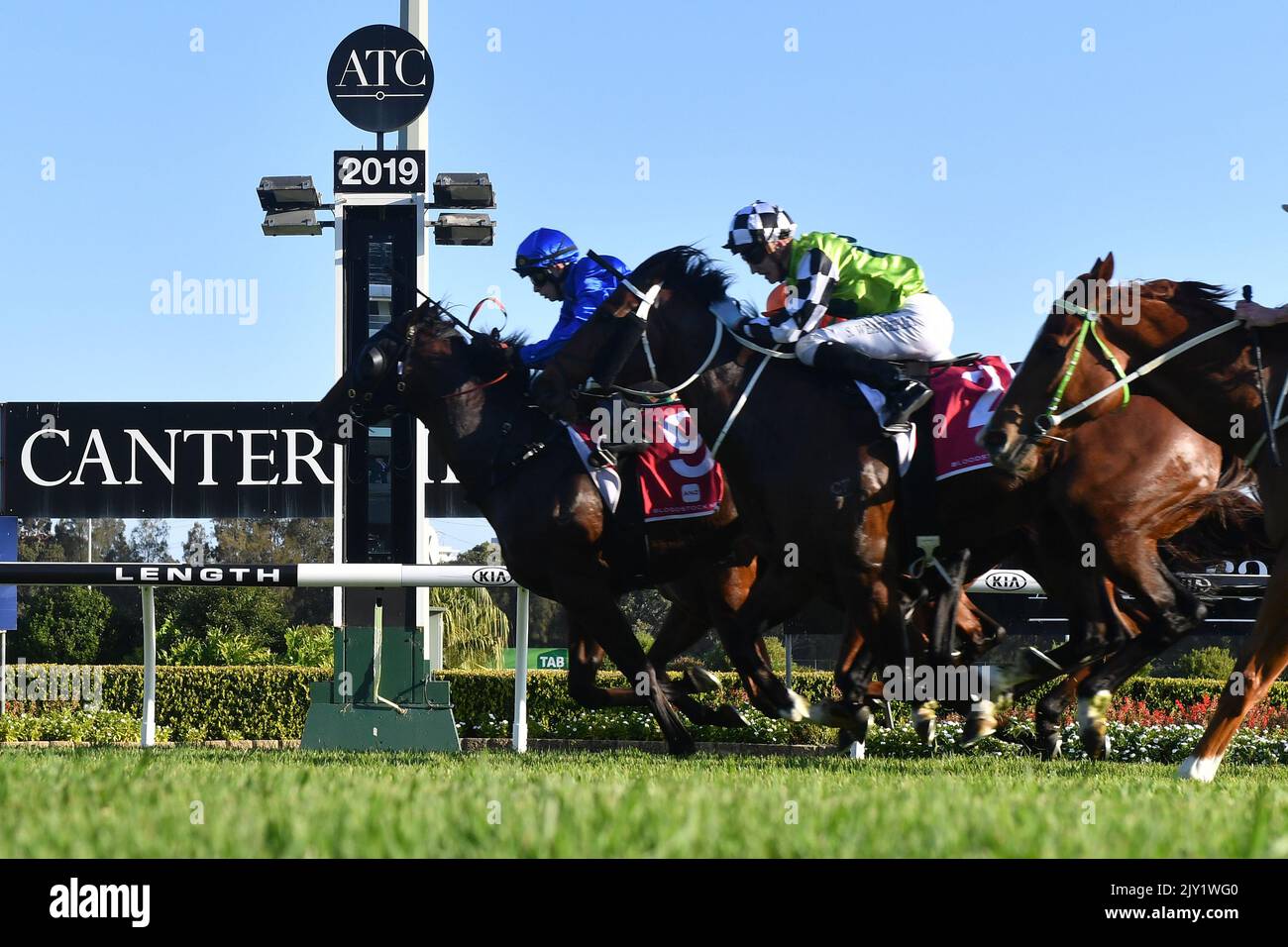 Jockey Robbie Dolan rides Medovina (far left wearing blue silks) to ...