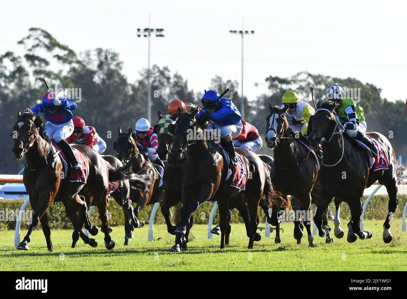 Jockey Robbie Dolan ride Medovina (centre wearing blue silks) to ...