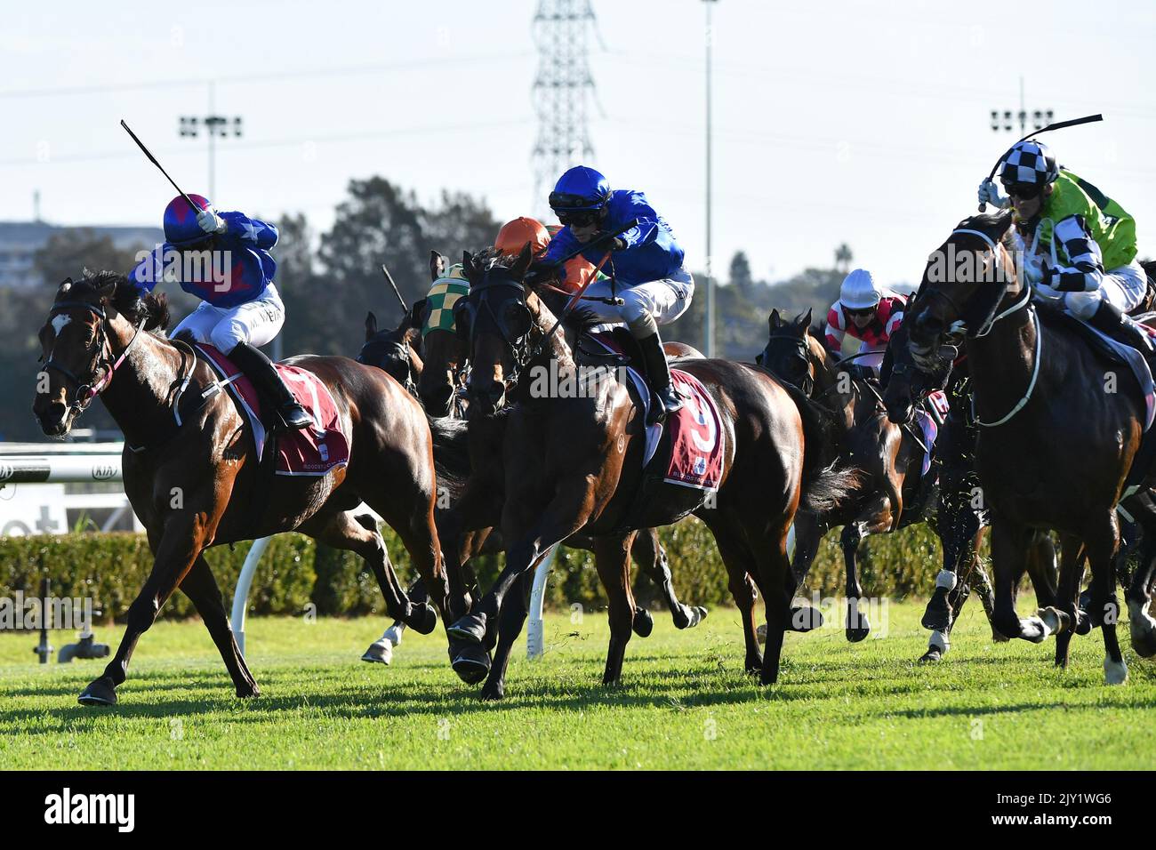 Jockey Robbie Dolan riding Medovina (centre wearing blue silks) to ...