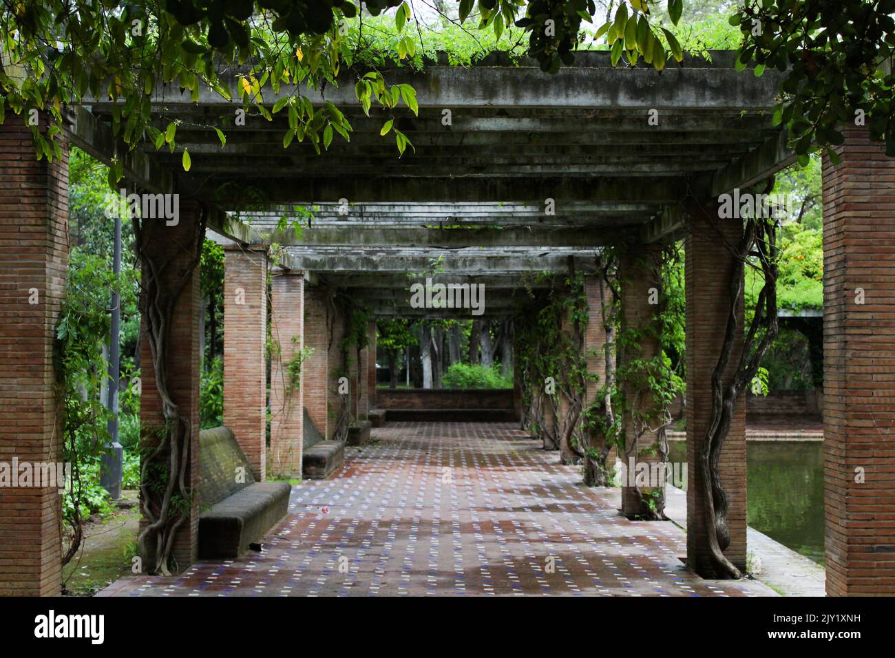 Pergola bridge hi-res stock photography and images - Alamy