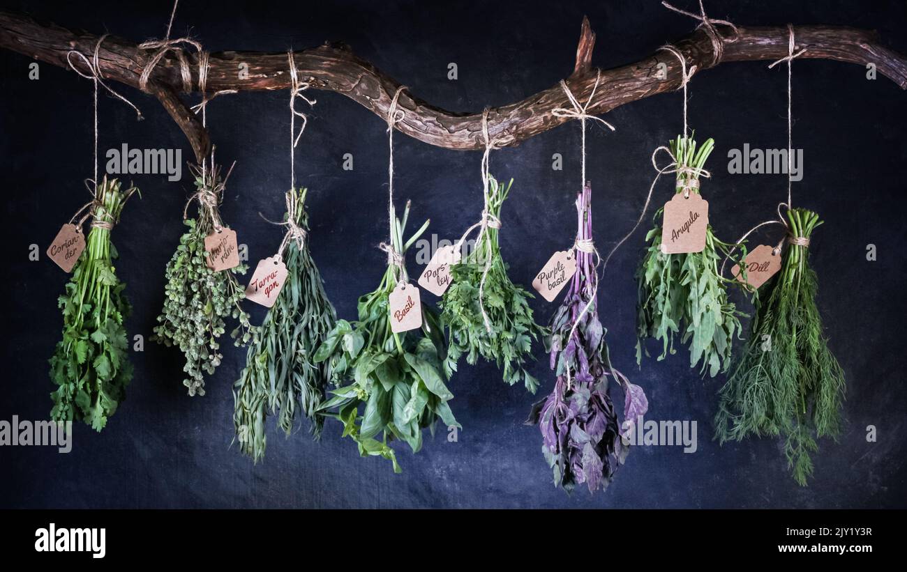 Hanging bunches of edible herbs with signed tags on a curved wooden ...